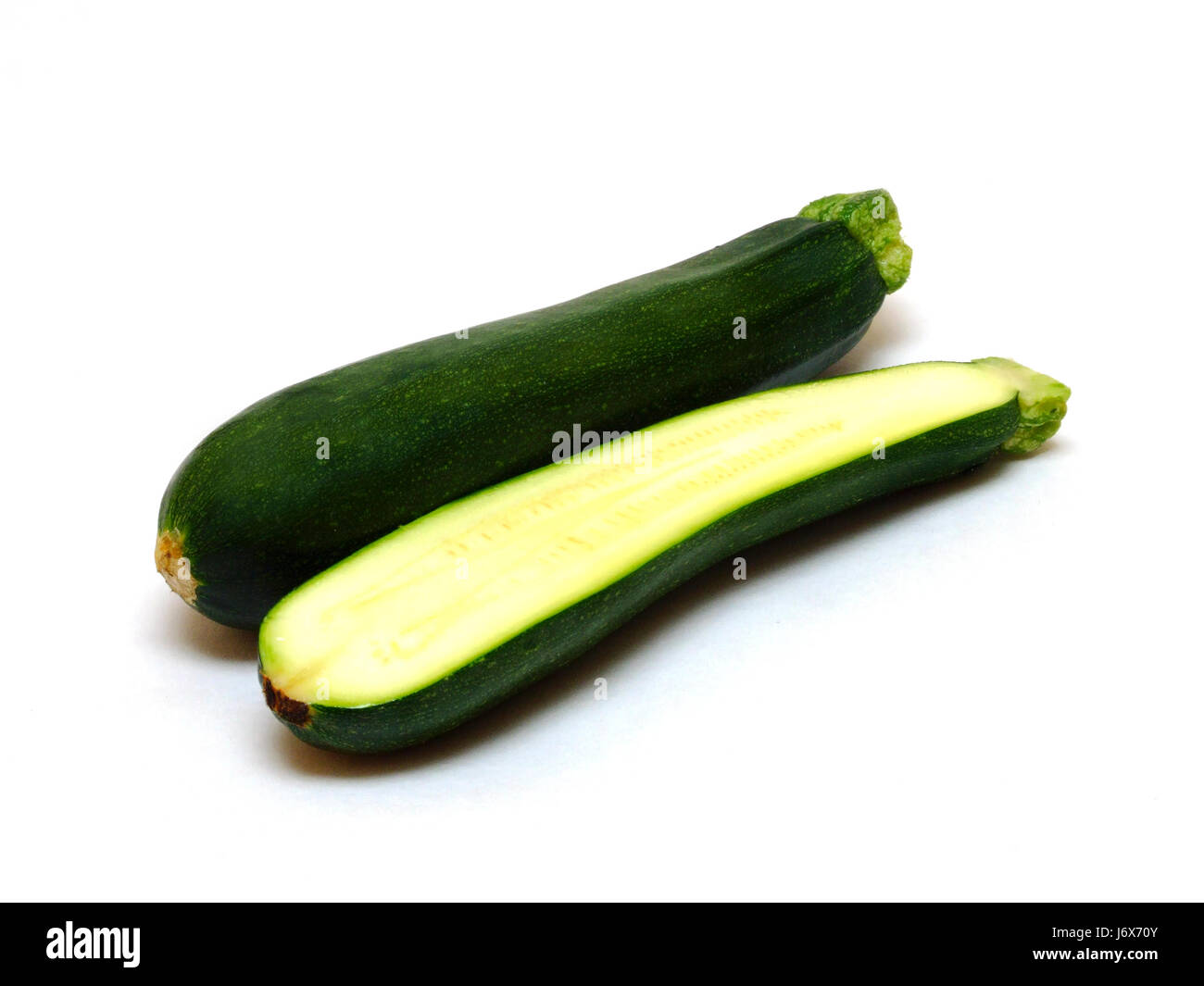 Cucurbita stem cross section hi-res stock photography and images - Alamy