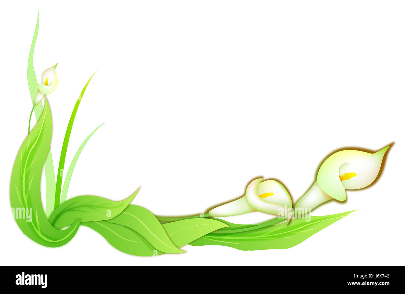 flower plant leaves foliage arrangement beautiful beauteously nice ...