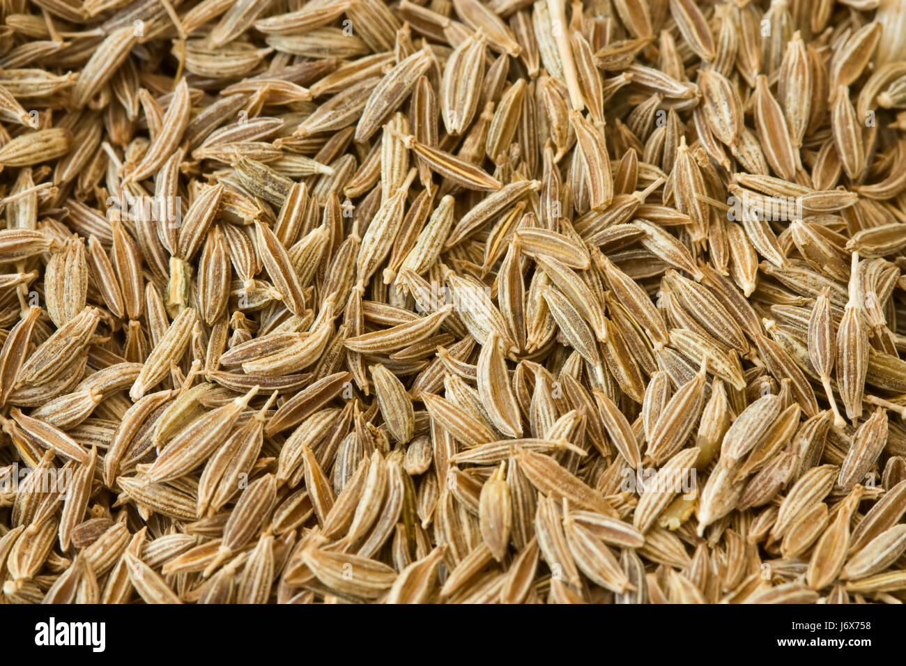 cumin - cumin Stock Photo - Alamy