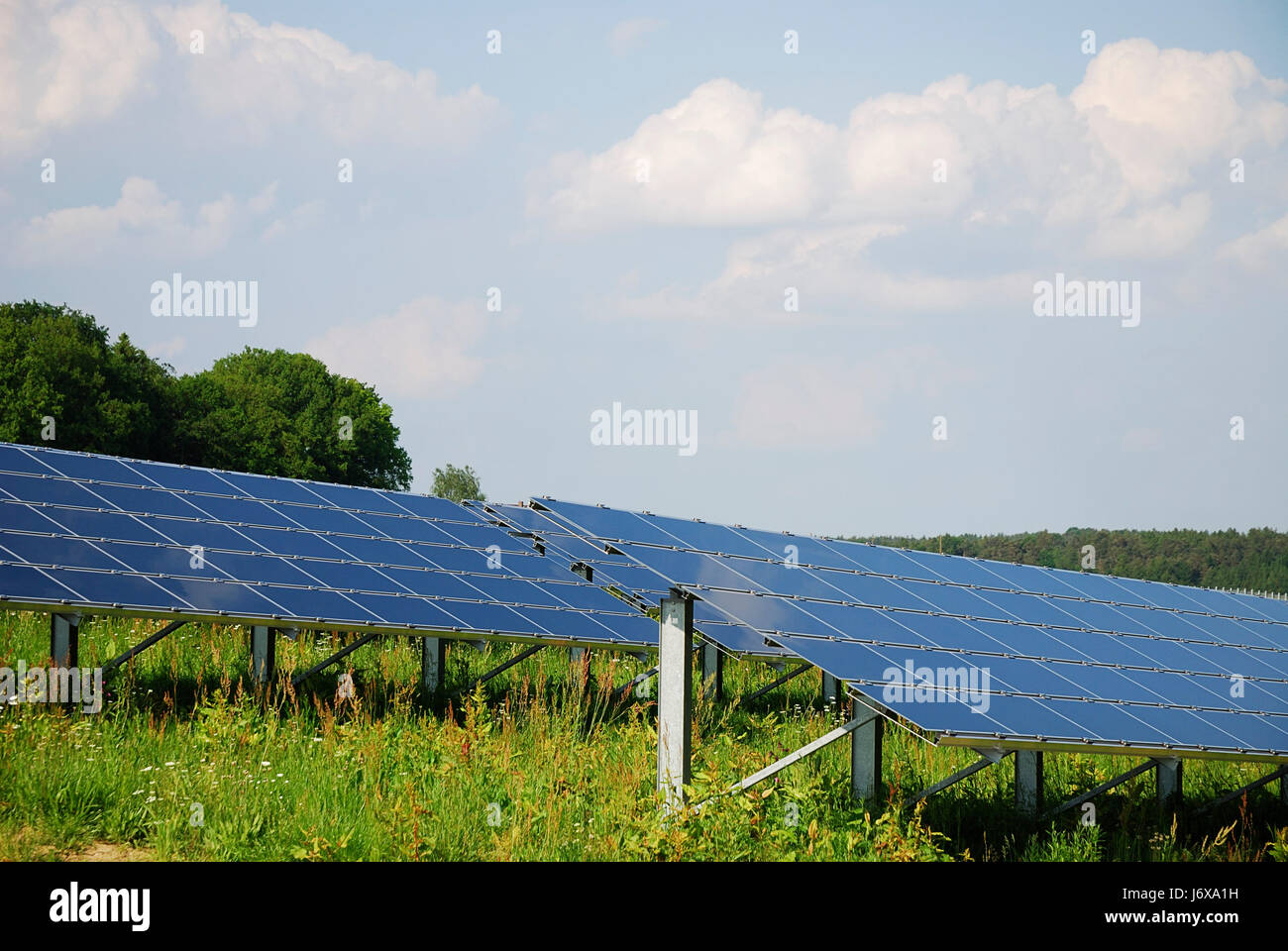 solar meadow photovoltaic photovoltaics industrial field energy power ...