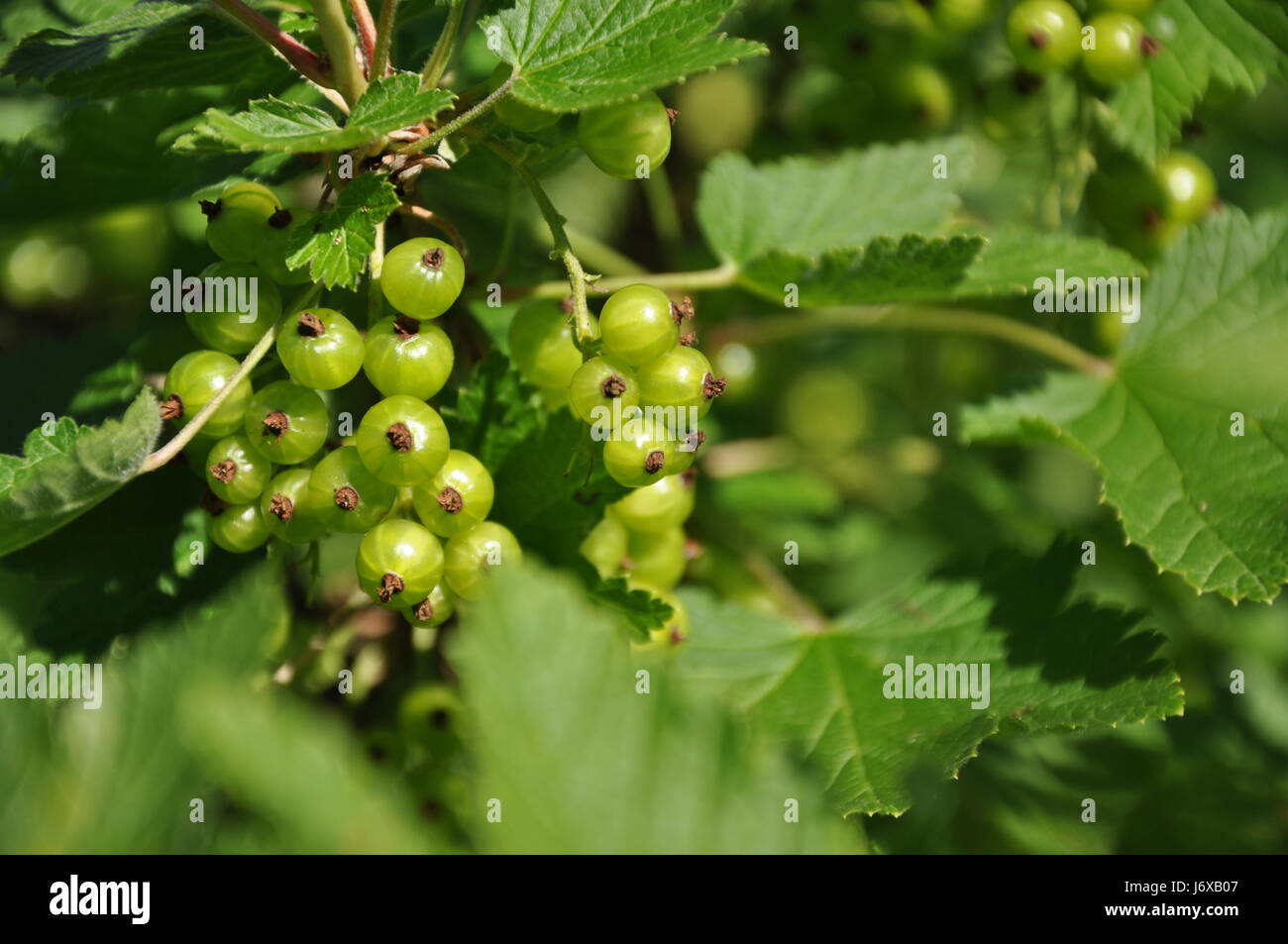 John berry hi-res stock photography and images - Alamy