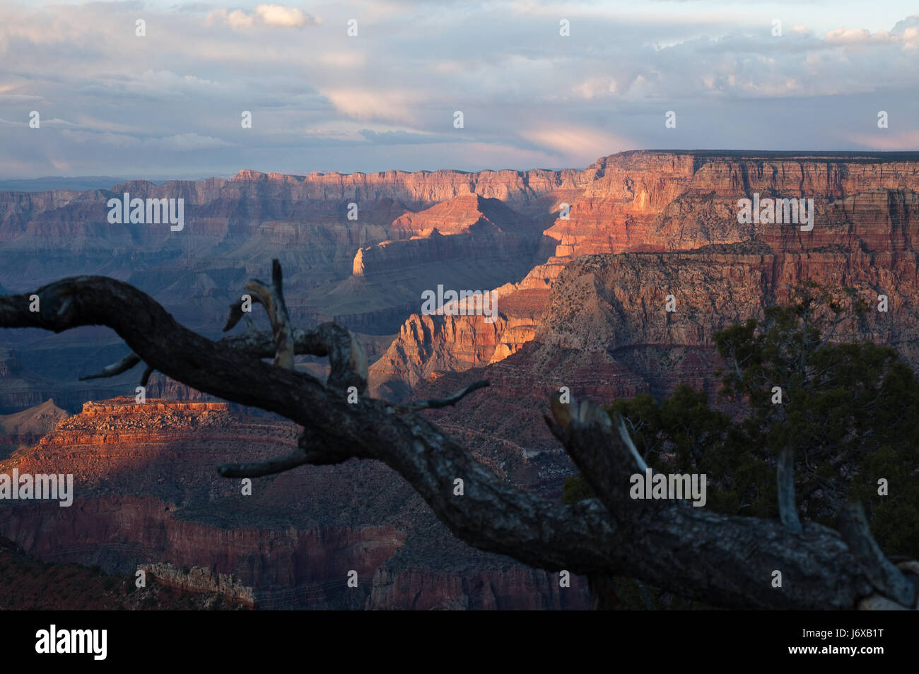 grand canyon - grand view point Stock Photo - Alamy