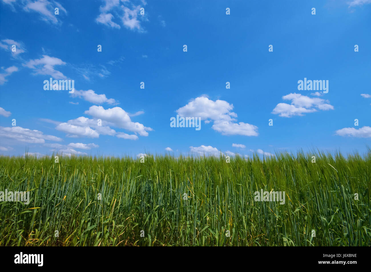 blue environment enviroment agriculture farming country scenery ...