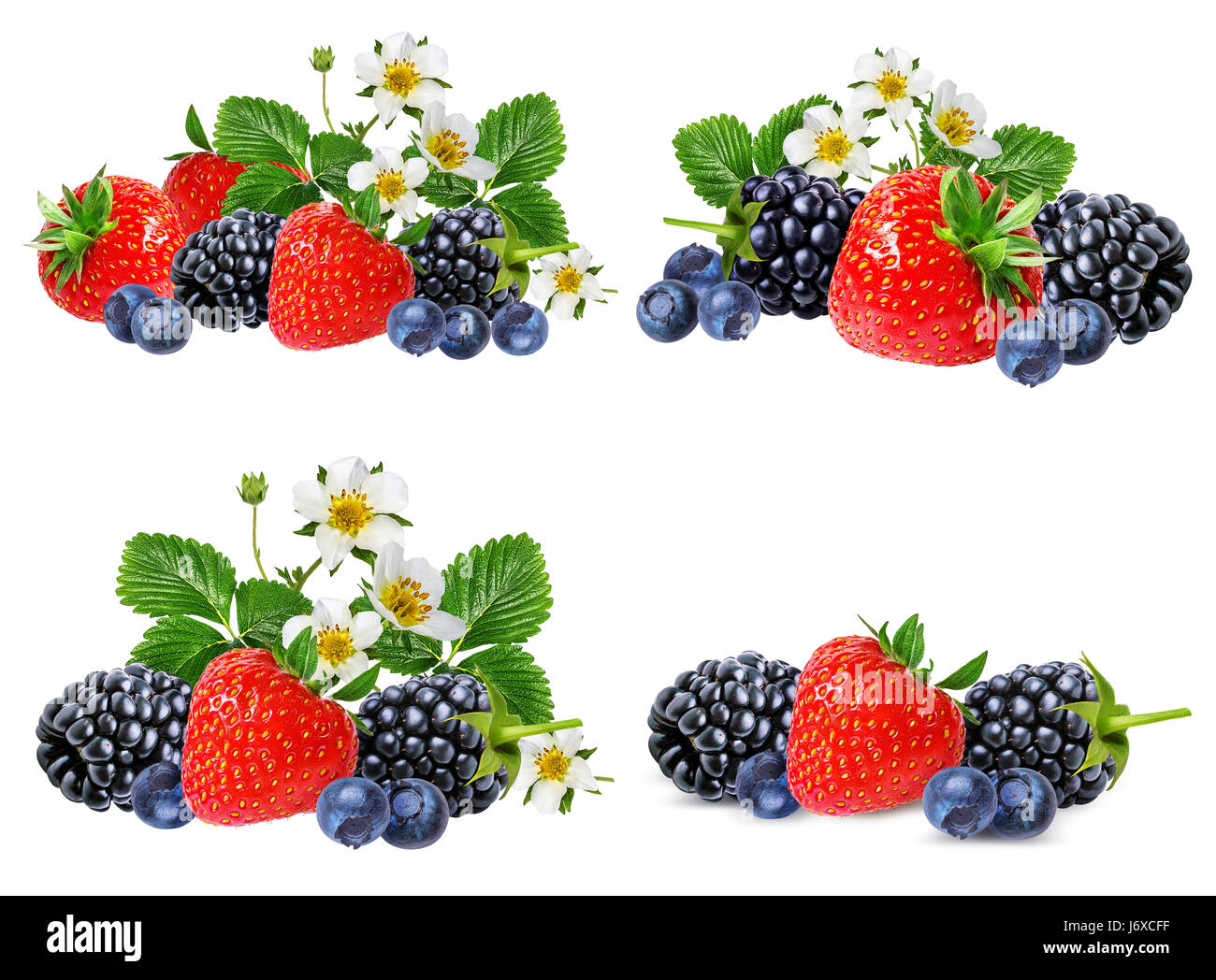 strawberry and blackberry isolated on white background Stock Photo - Alamy