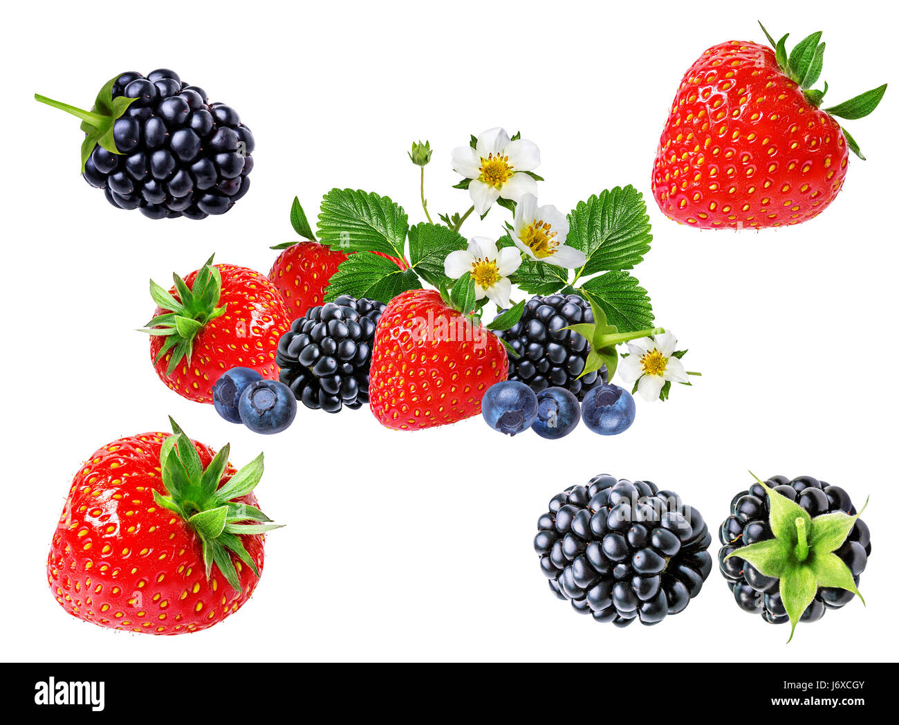 strawberry and blackberry isolated on white background Stock Photo - Alamy