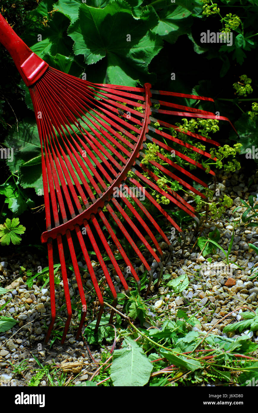 the rake red Stock Photo - Alamy