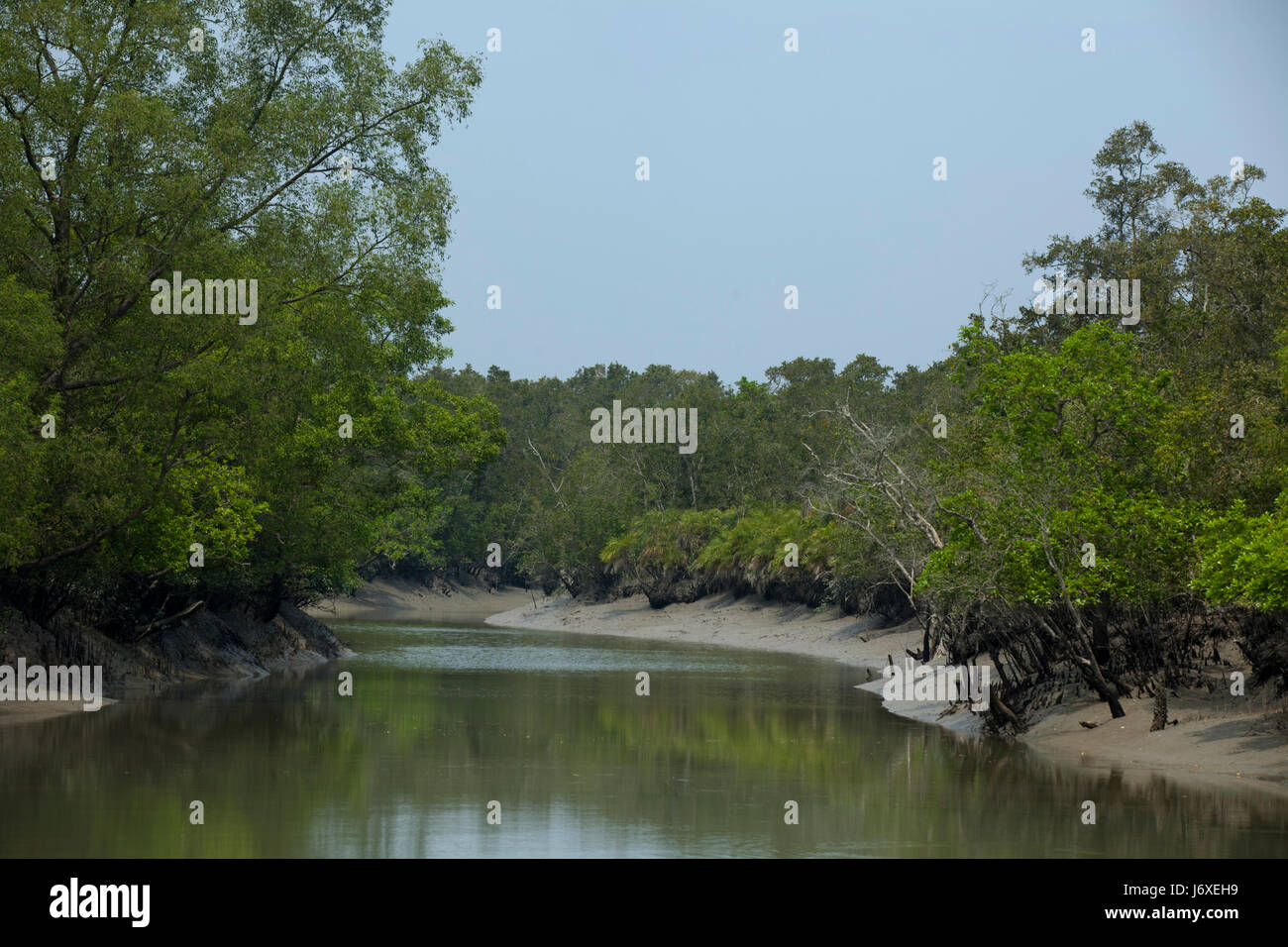The Sundarbans, a UNESCO World Heritage Site and a wildlife sanctuary ...