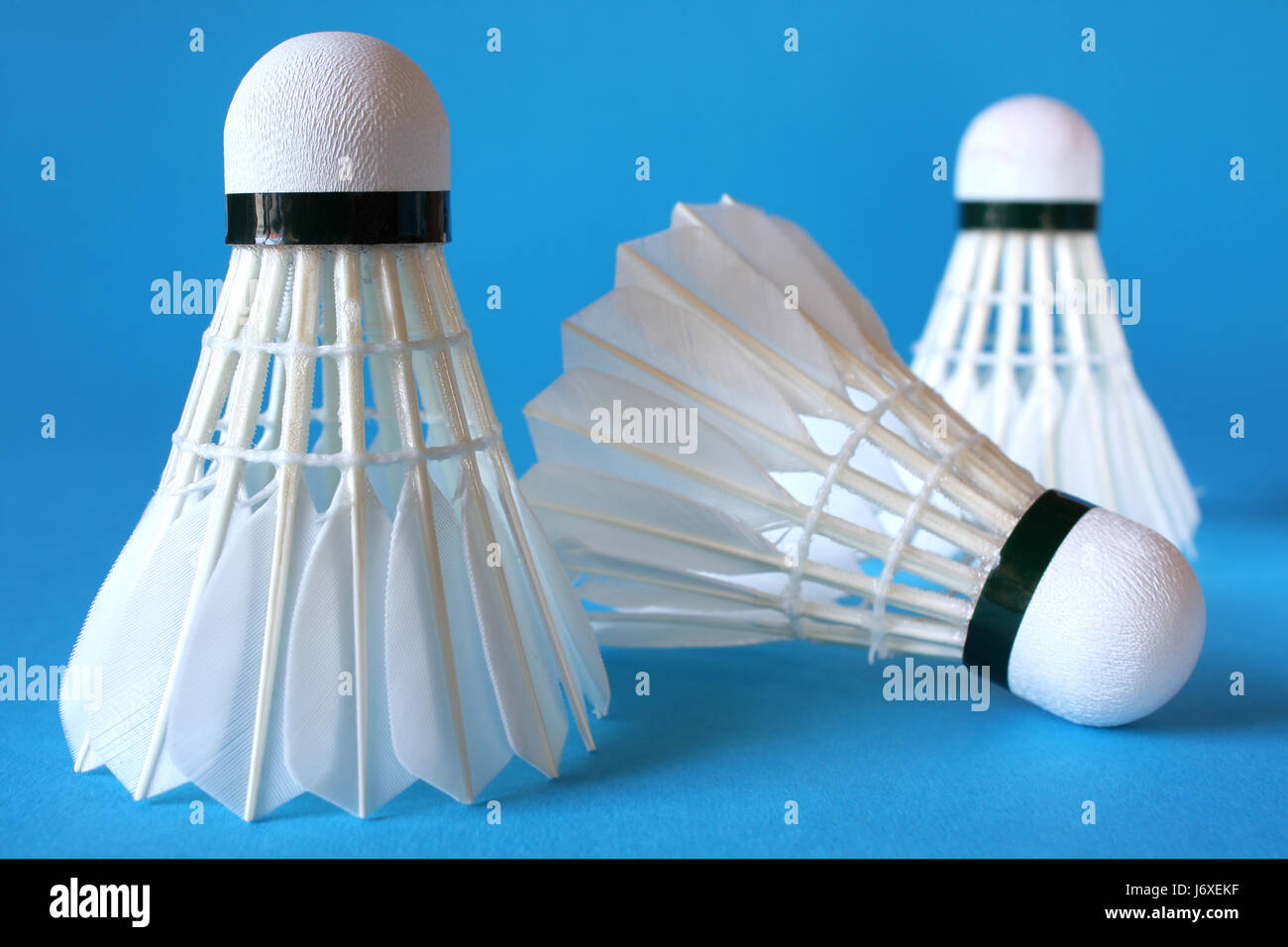 blue badminton shuttlecock feather blue sport sports ball ball sport ...