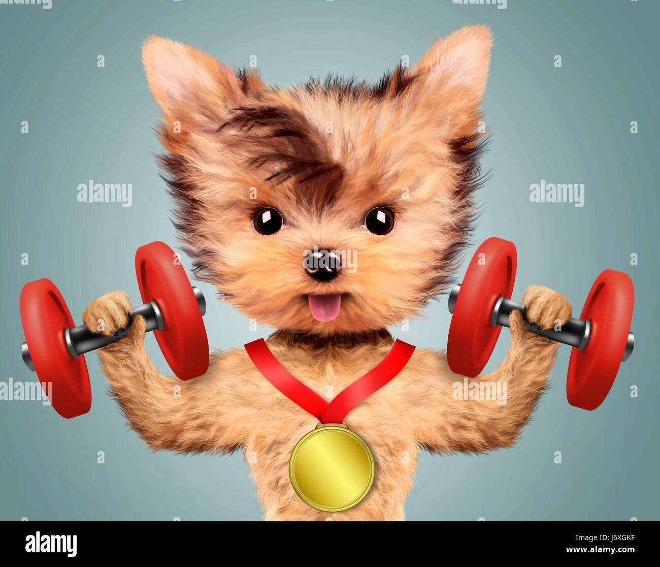 Funny dog training with dumbbell and have medal Stock Photo - Alamy