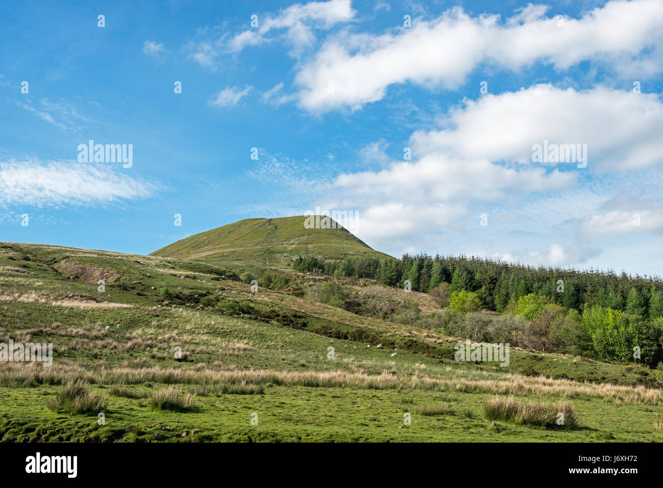 Torpantau hi-res stock photography and images - Alamy