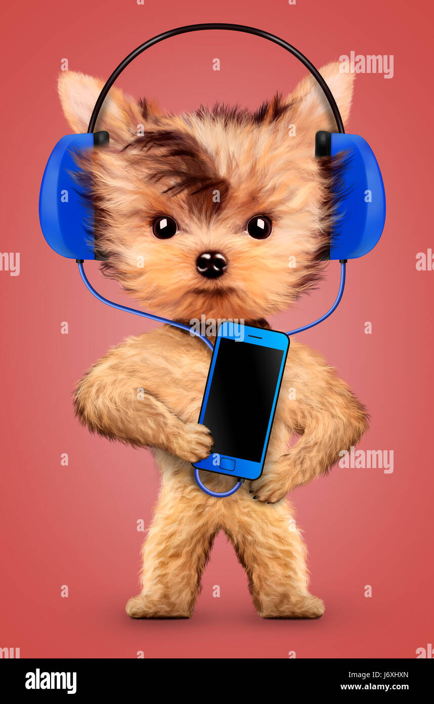 Funny dog listening to music on headphones Stock Photo - Alamy