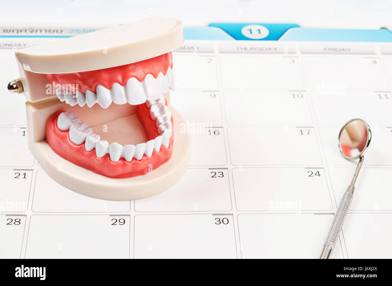 Calendar page and Dentist mirror tool and dentist demonstration teeth ...