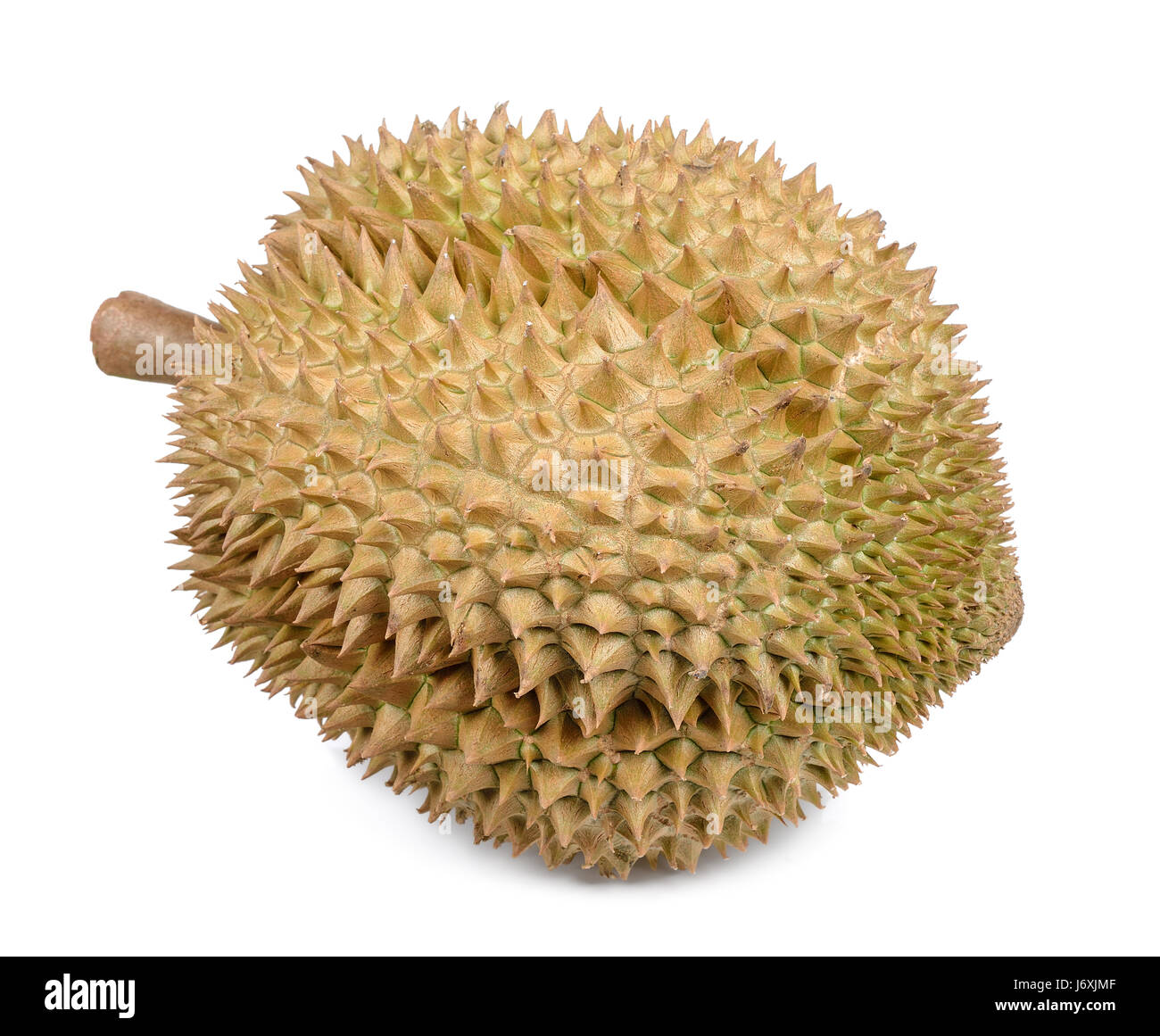 Durian isolated on the white background Stock Photo - Alamy
