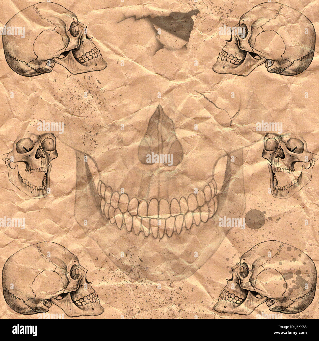 skull scary halloween spooky macabre skull scary rusty material drug ...