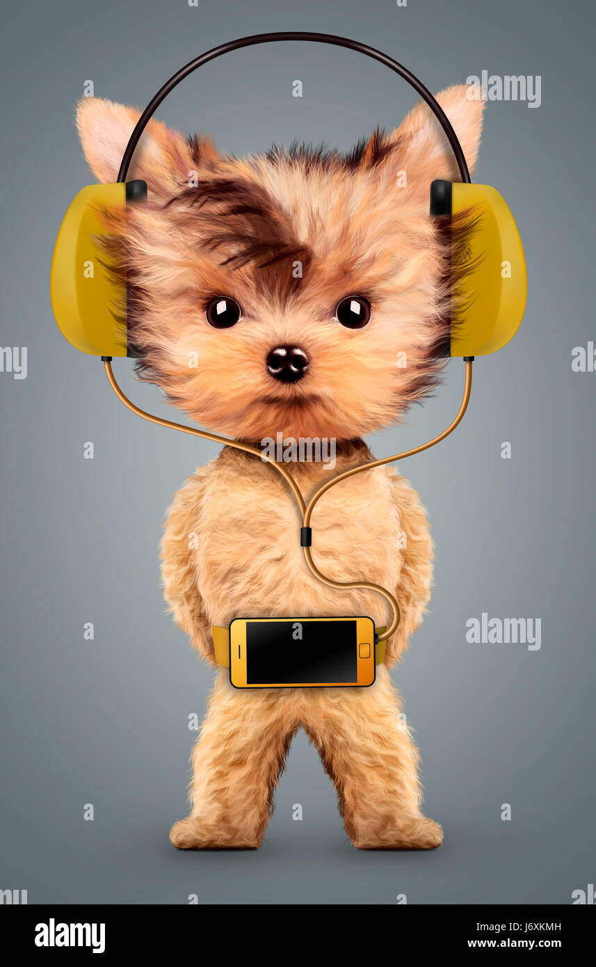 Funny dog listening to music on headphones Stock Photo - Alamy