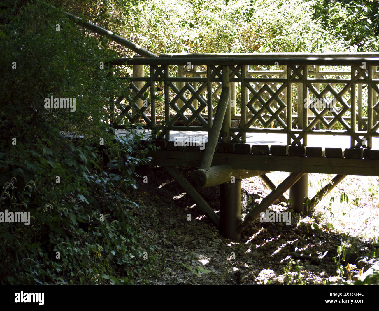 park bridge railing transition bridge parapet forest shine shines ...