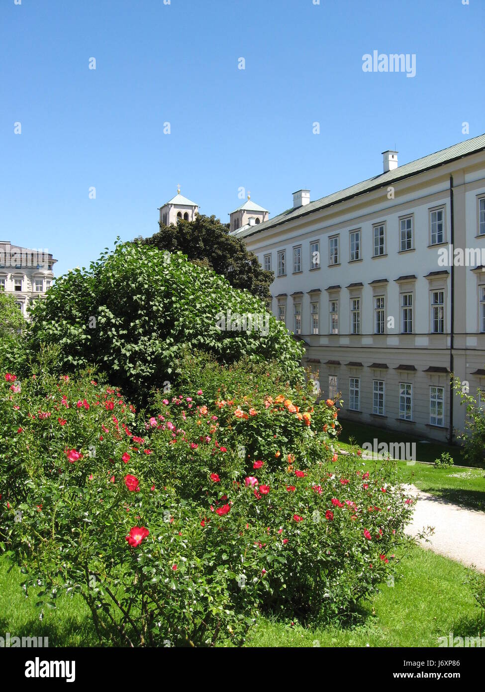 castle and roses Stock Photo - Alamy