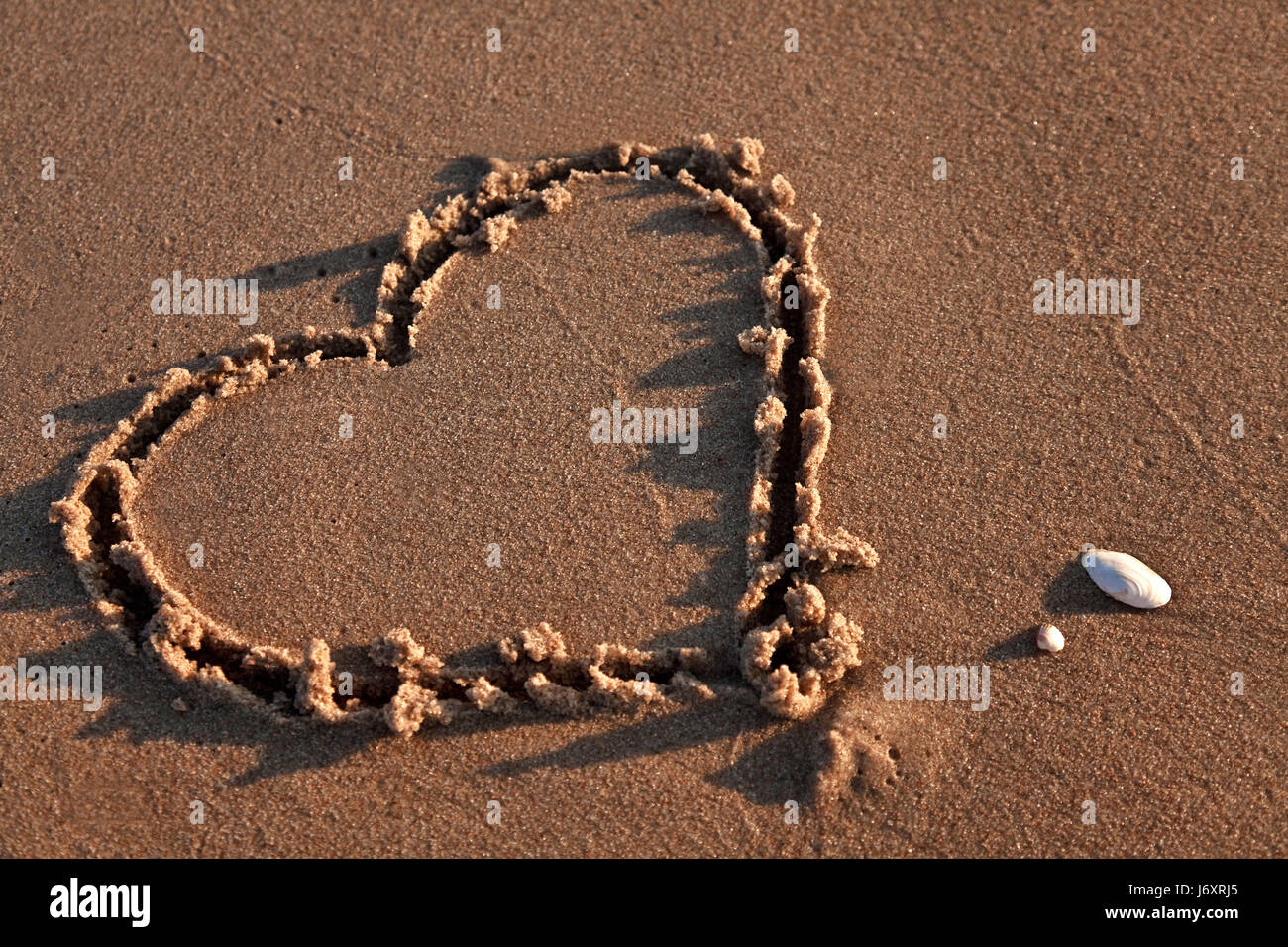 beach seaside the beach seashore love in love fell in love gravel heart ...