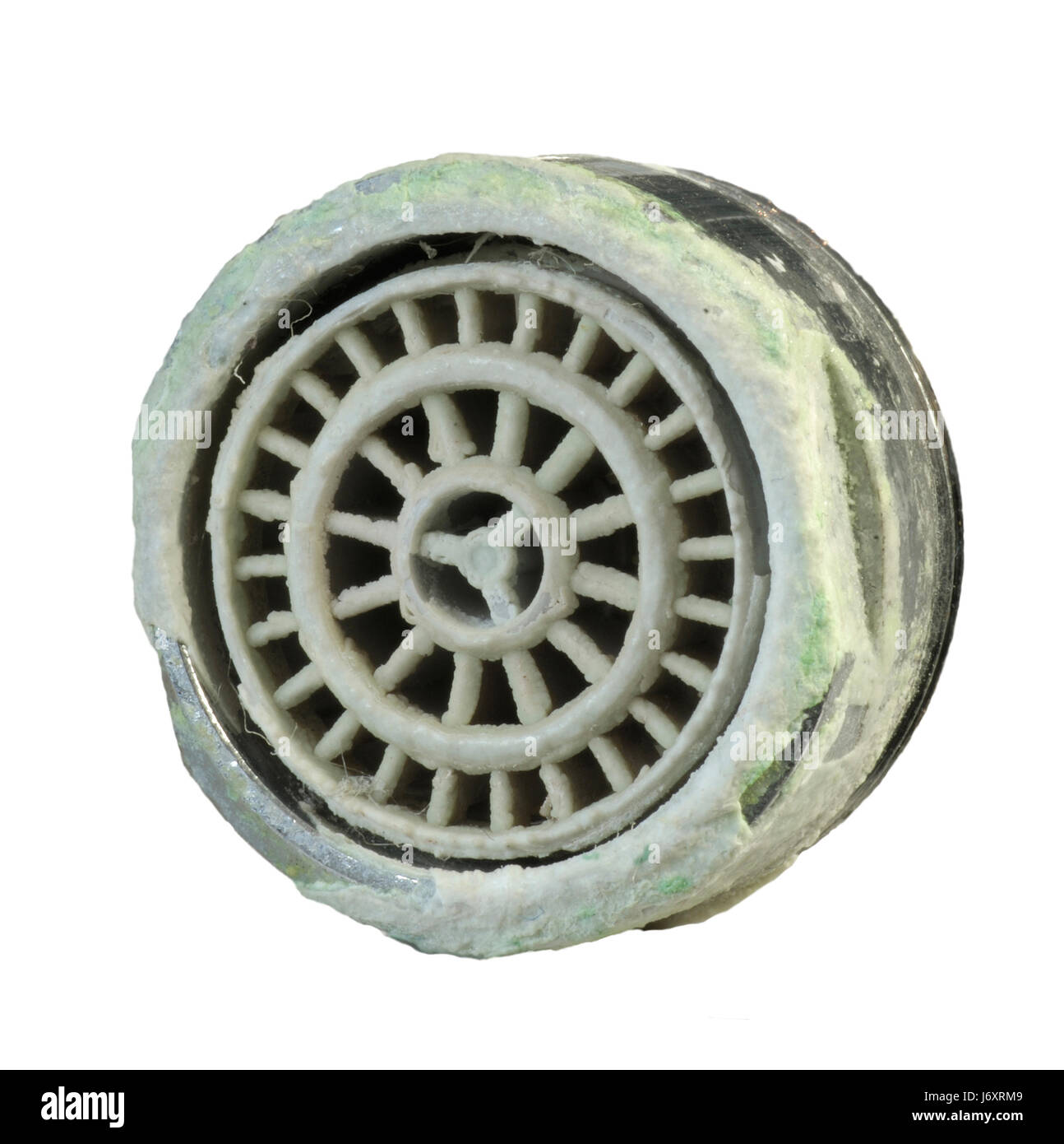 Calcify High Resolution Stock Photography and Images - Alamy