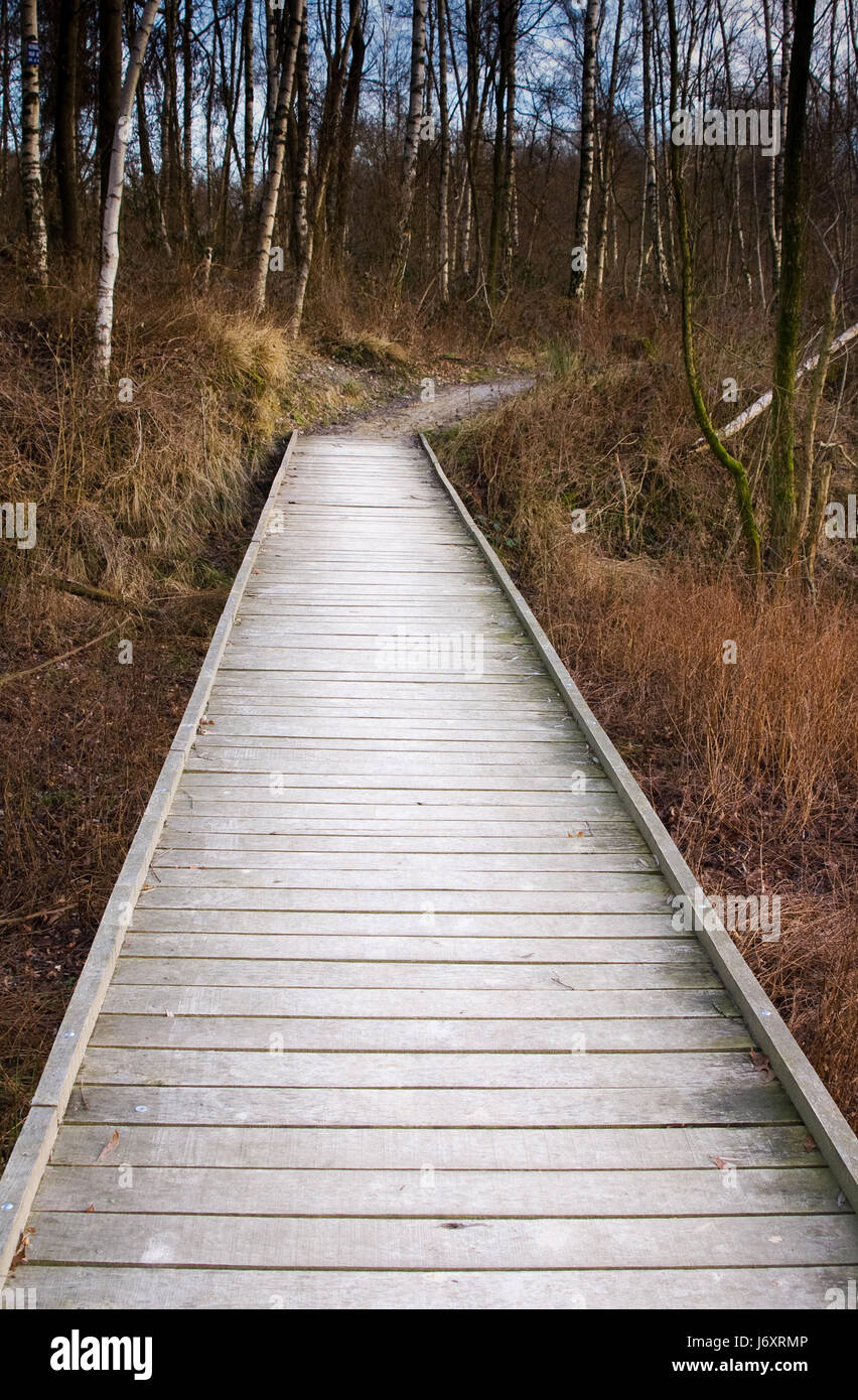 object wood bridge timber landscape scenery countryside nature forest ...