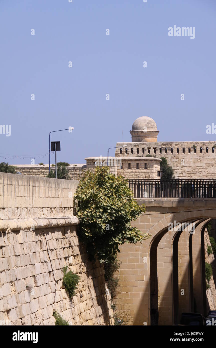 historical wall plant masonry old blue historical tree stone antique ...