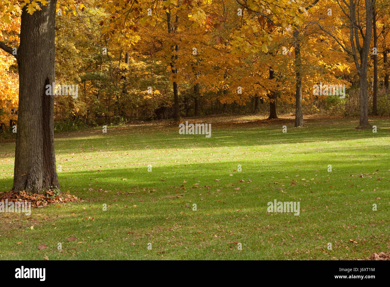 outdoor tent hunting chase tree trees park outdoor adventure camouflage ...