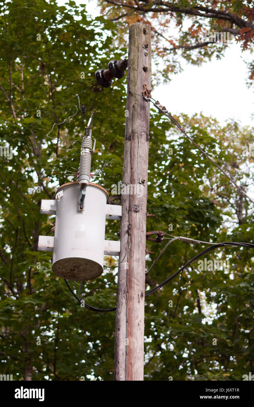 tree energy power electricity electric power electric voltage wire ...