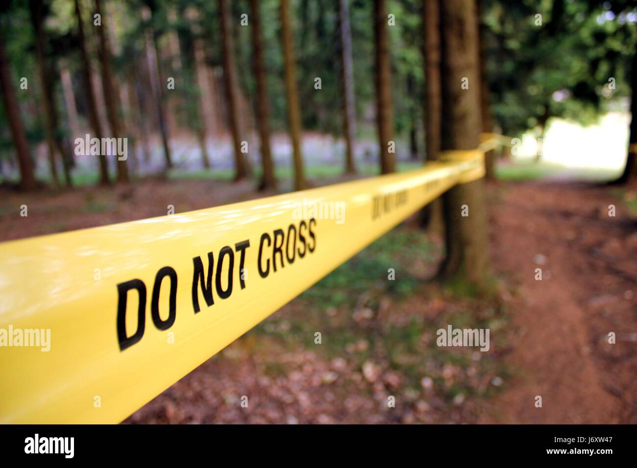 danger delimitation forest danger delimitation forest dont cross the ...