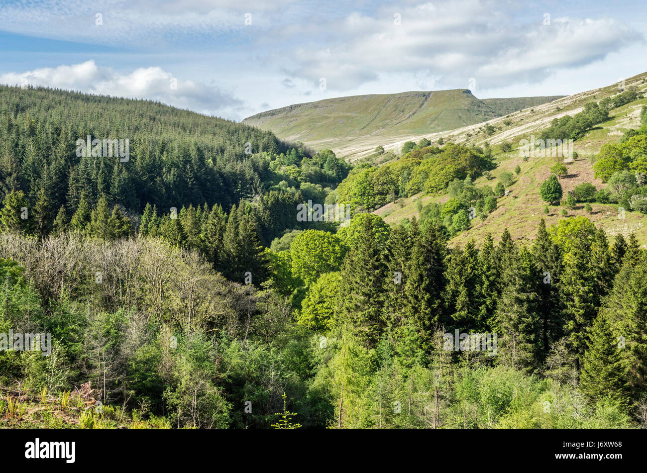 The edge of Waun Rydd, a high hill in the Brecon Beacons National Park ...