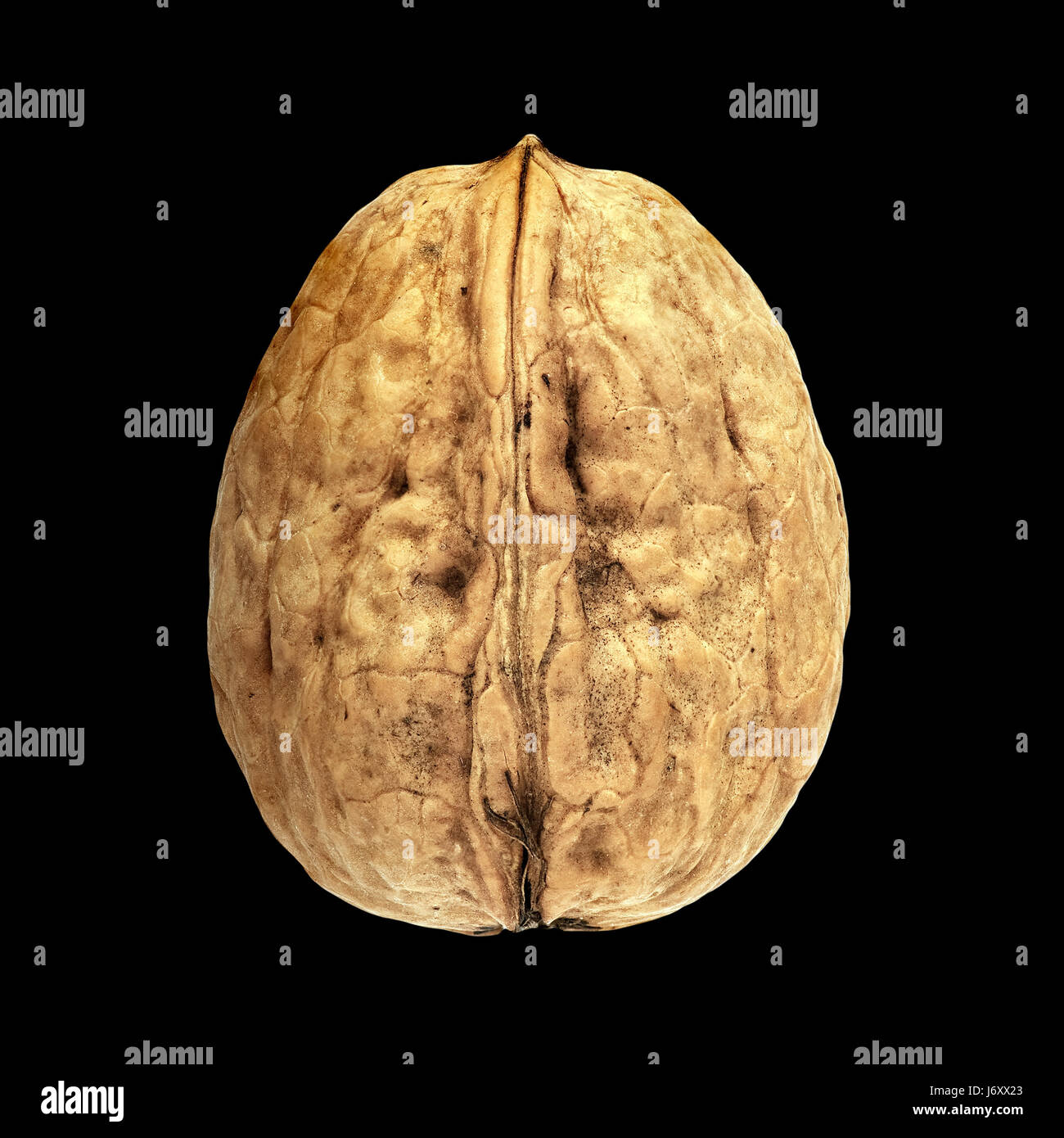 walnut - walnut - juglans regia Stock Photo - Alamy