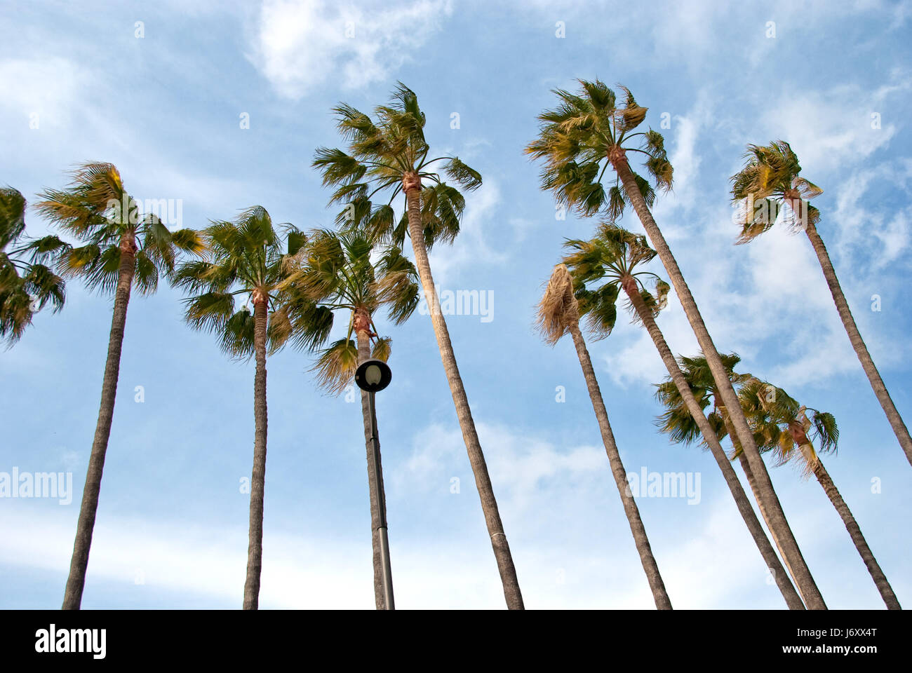 blue bell style of construction architecture architectural style boat ...