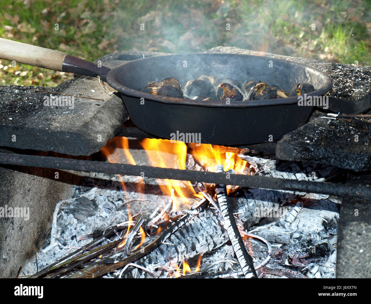 food aliment fire conflagration flame flames grill barbecue barbeque ...