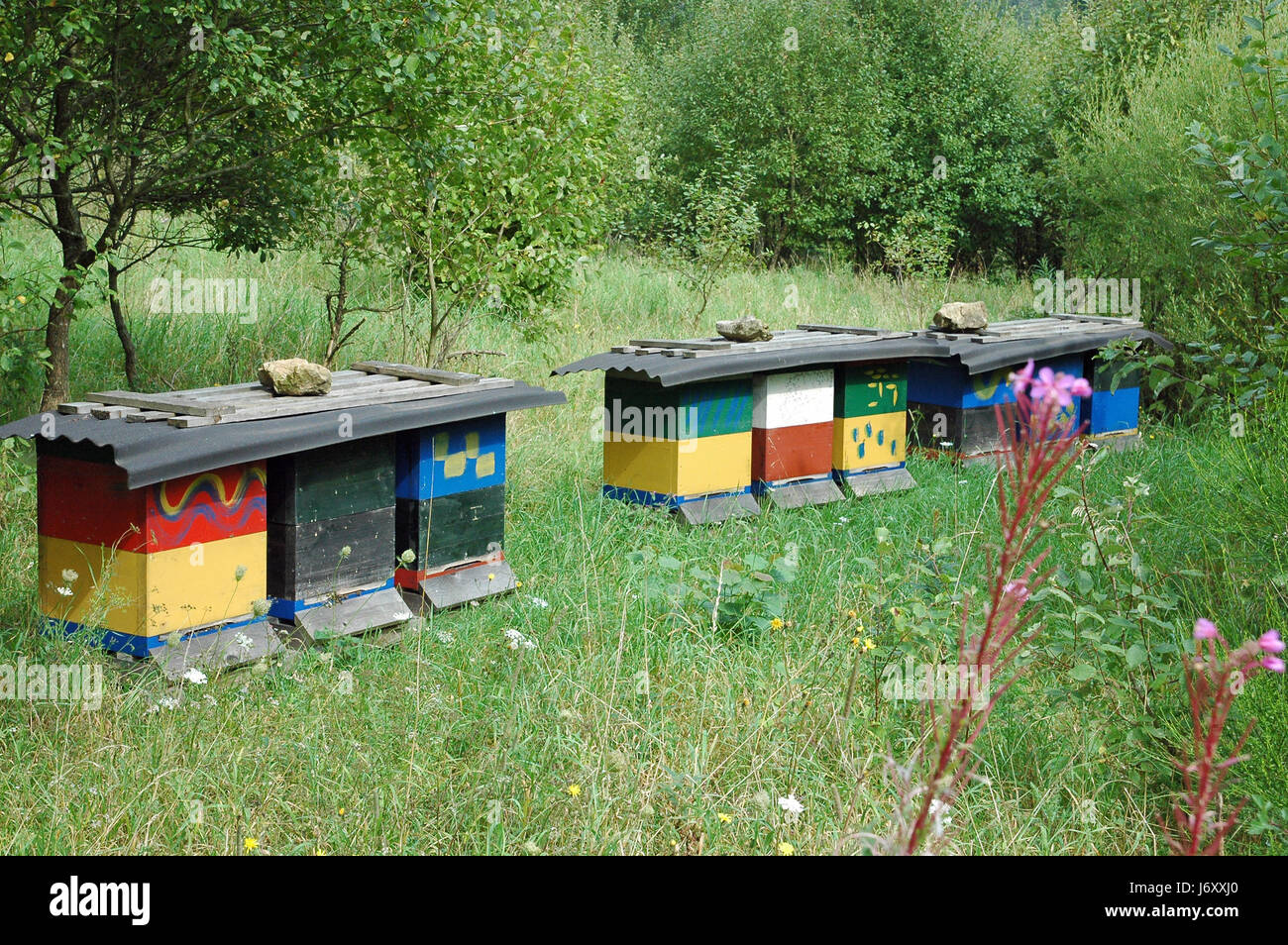 coloured colourful gorgeous multifarious richly coloured bees hives ...
