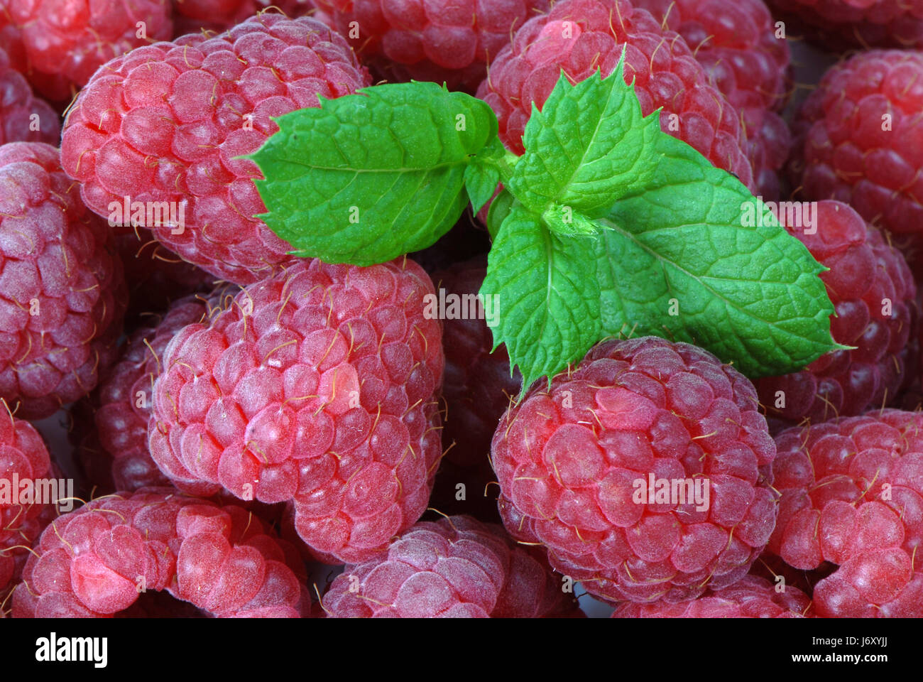 food aliment fruit kitchen cuisine mint raspberry raspberries dessert ...
