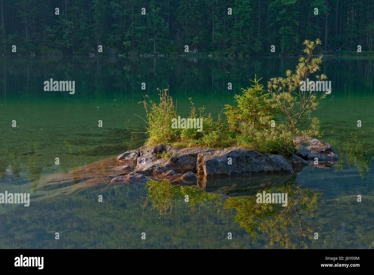 first morning light Stock Photo - Alamy