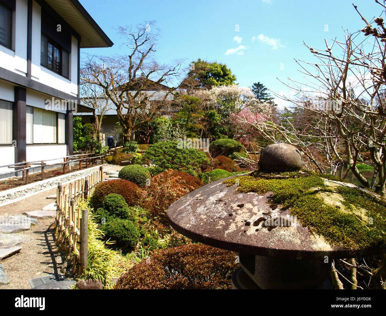 garden asia asiatic plant public garden japanese japan gardens plant ...