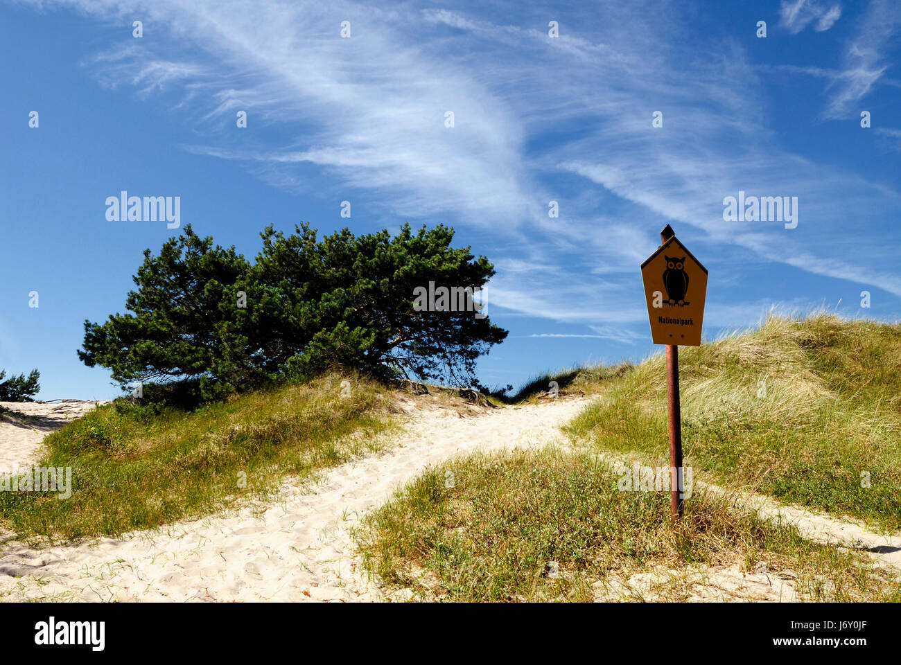 conservation of nature environmental protection blue environment ...