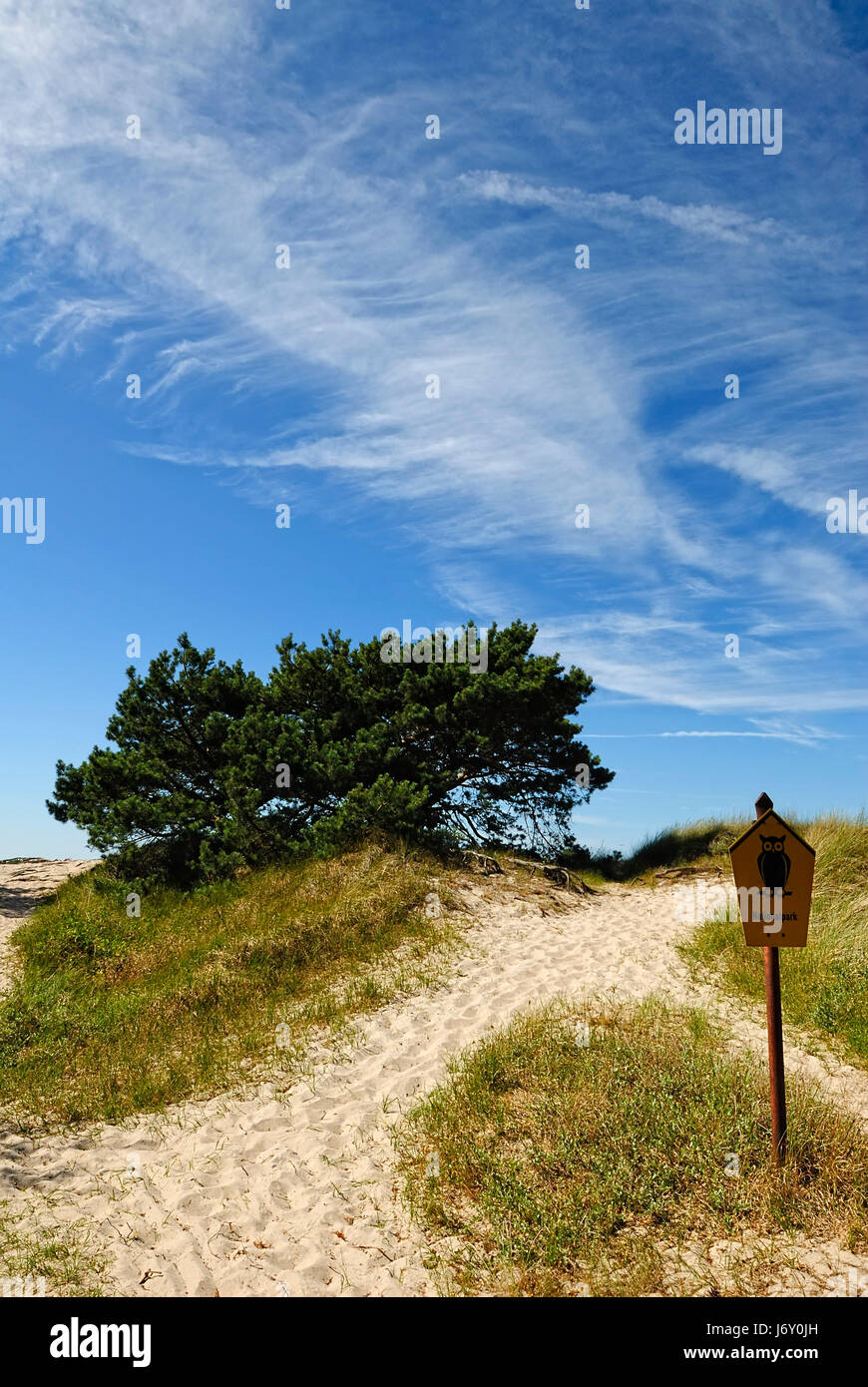 conservation of nature environmental protection blue environment ...