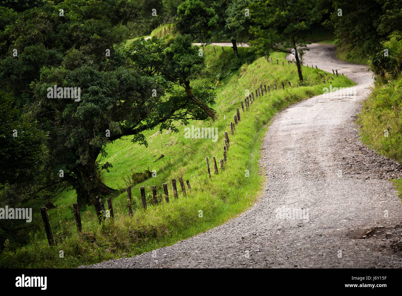 jungle outdoor outside landscape scenery countryside nature mountain ...