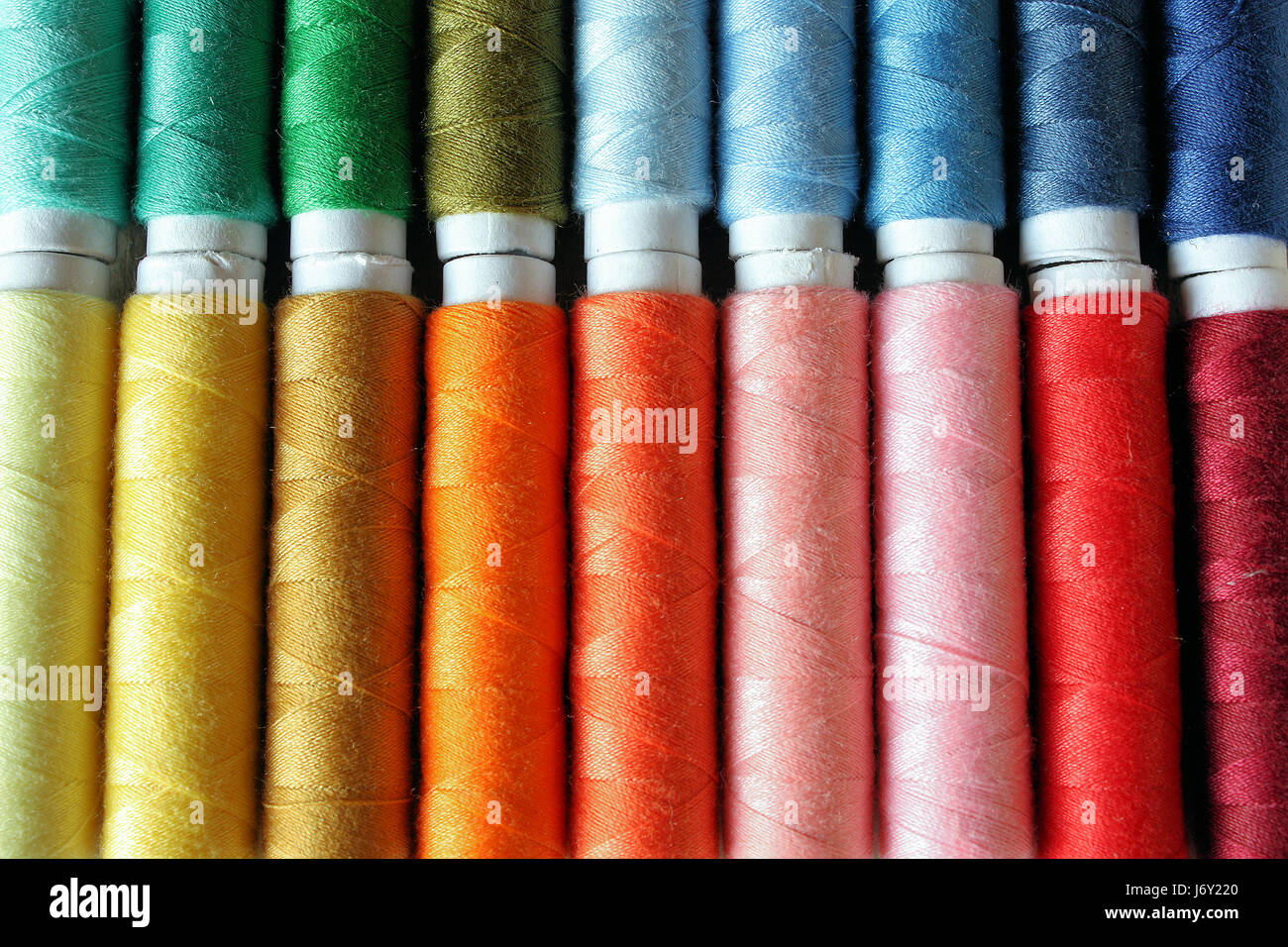 yarn sewing thread cotton blue flower rose plant coloured colourful ...