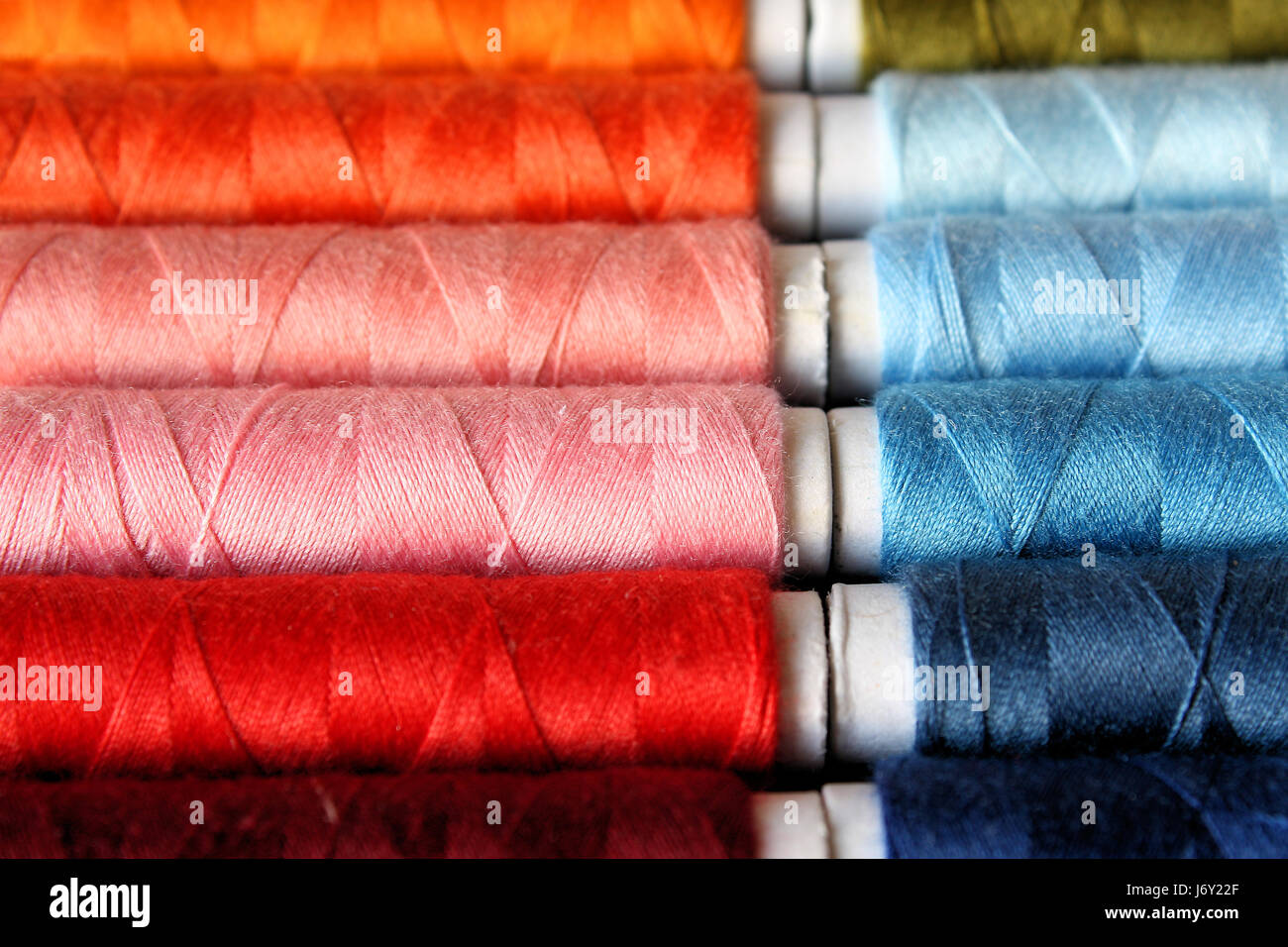 yarn sewing thread cotton blue flower rose plant coloured colourful ...