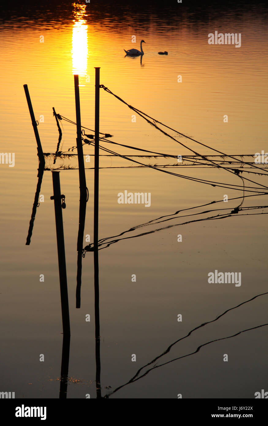 summer summerly fortification salt water sea ocean water rope rowing ...