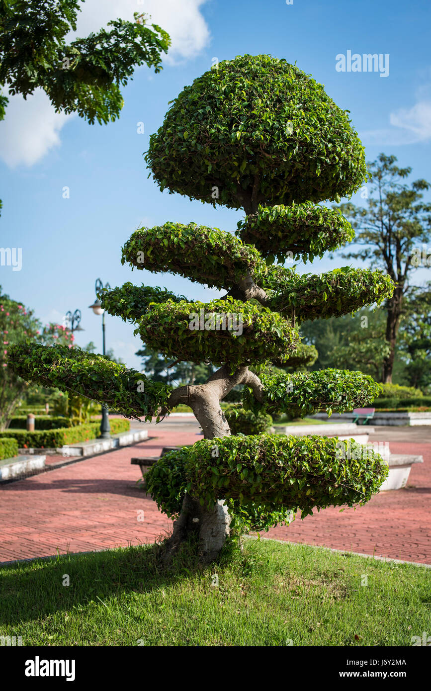 Topiary tree hi-res stock photography and images - Alamy