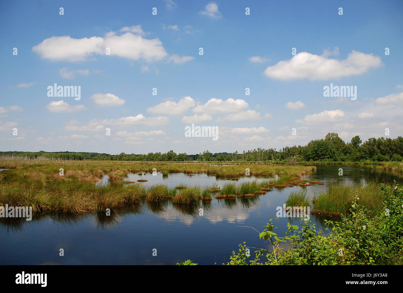 Fen hi-res stock photography and images - Alamy