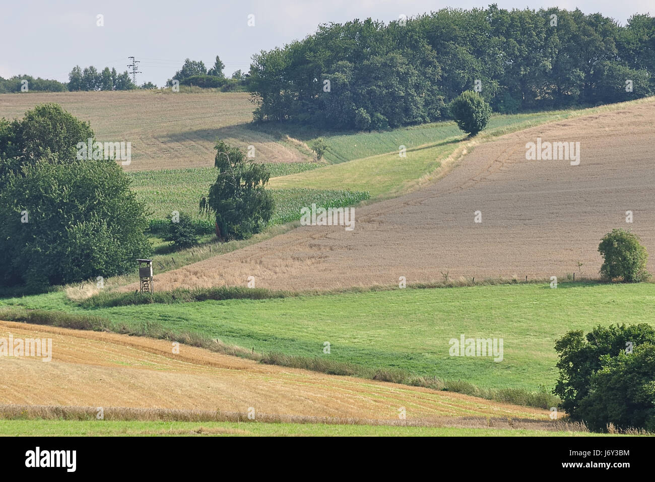 agriculture farming fields cultivation scenery countryside nature ...