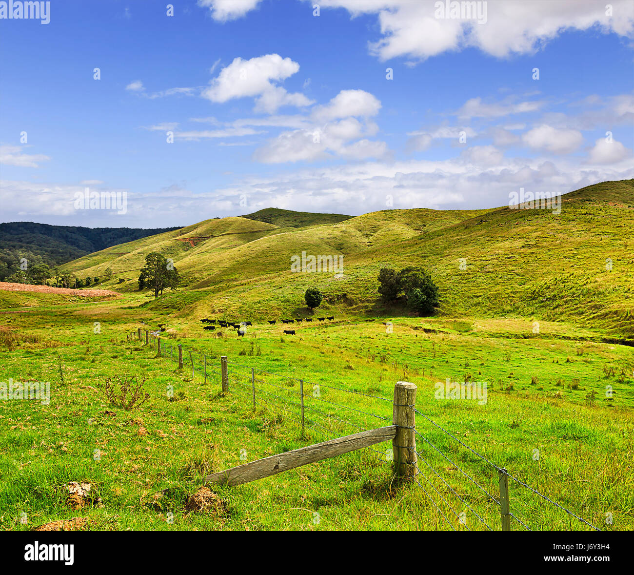 Fence and grassy pasture hi-res stock photography and images - Alamy