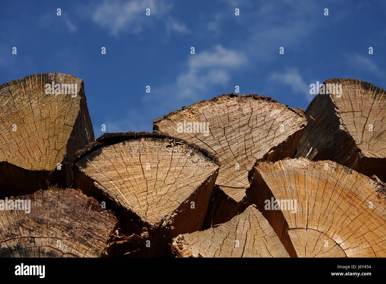 blue wood stacked firewood firmament sky backdrop background blue wood ...