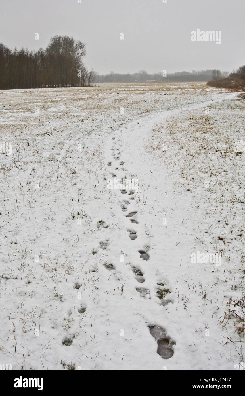 winter cold field snow coke cocaine material drug anaesthetic addictive ...