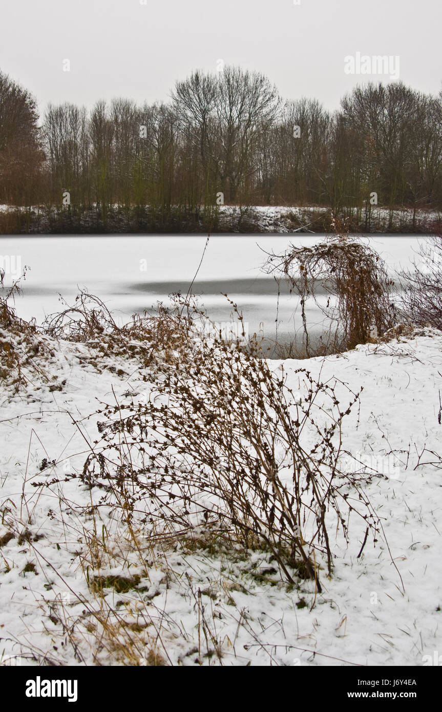 winter cold field snow coke cocaine material drug anaesthetic addictive ...