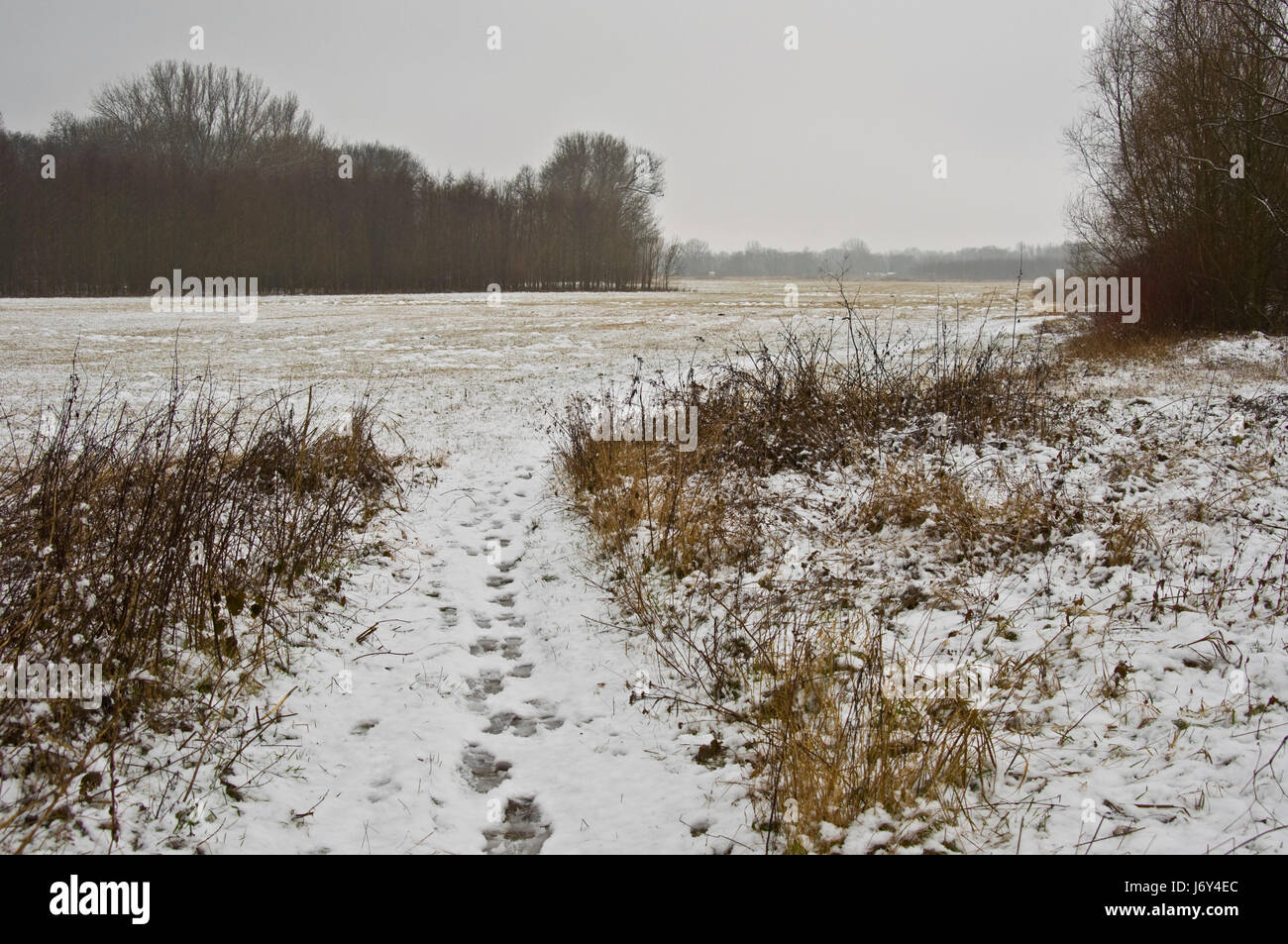 winter cold field snow coke cocaine material drug anaesthetic addictive ...